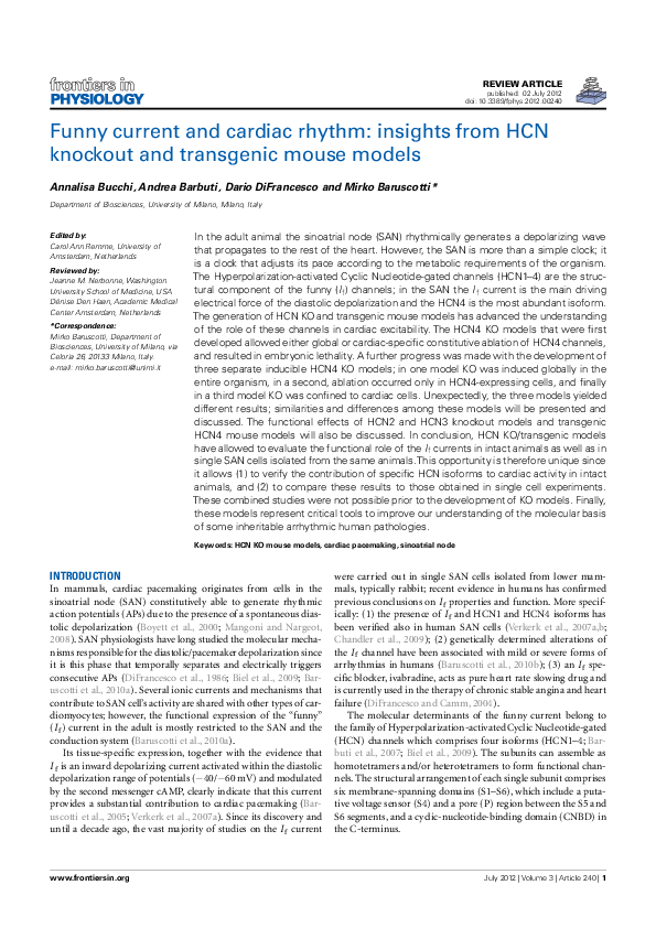 (PDF) Funny Current and Cardiac Rhythm: Insights from HCN Knockout and ...