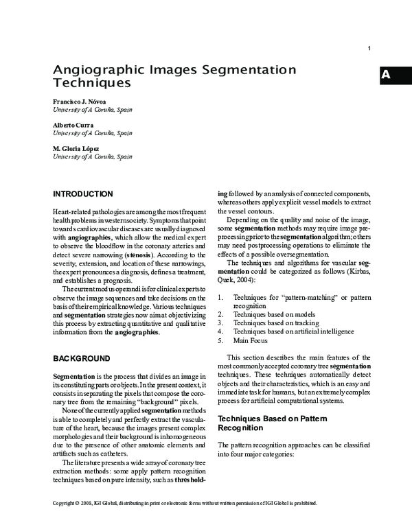 (PDF) Angiographic Images Segmentation Techniques | F. Novoa - Academia.edu
