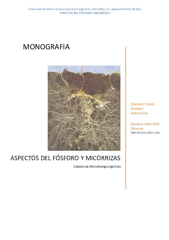 (DOC) Monografia Micorrizas y P Microbiologia | Sofia Messina ...