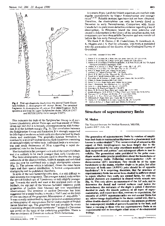 (PDF) Structure of supernumerary limbs | Malcolm Maden - Academia.edu