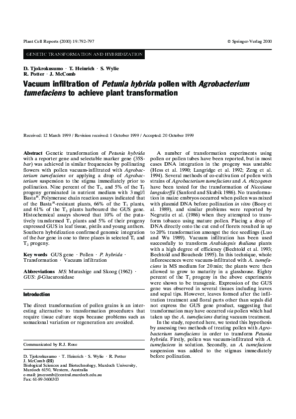 (PDF) Vacuum infiltration of Petunia hybrida pollen with Agrobacterium ...