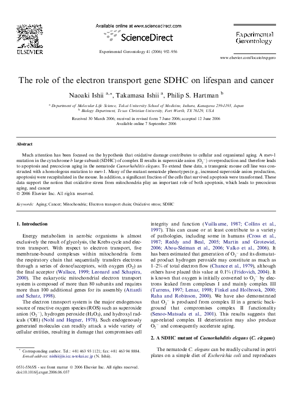 (PDF) The role of the electron transport gene SDHC on lifespan and cancer