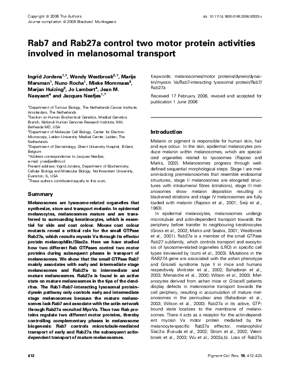 (PDF) Rab7 and Rab27a control two motor protein activities involved in ...