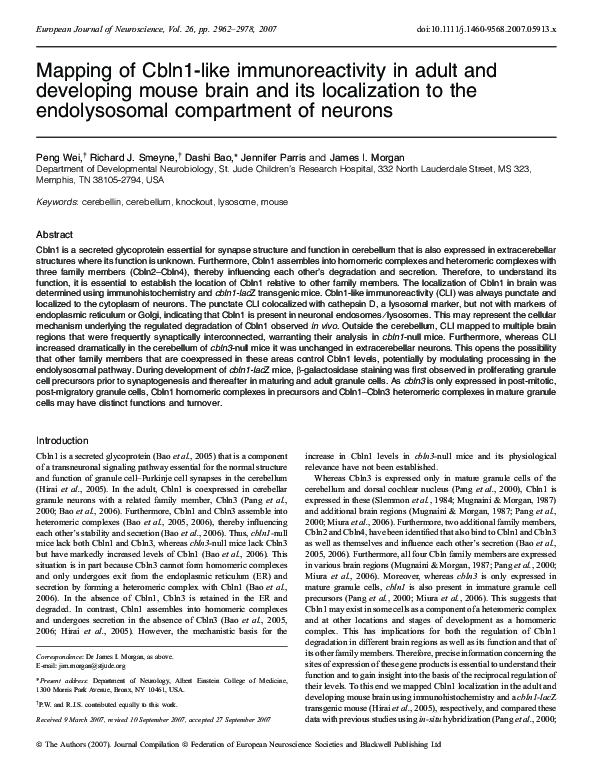 (PDF) Mapping of Cbln1-like immunoreactivity in adult and developing ...