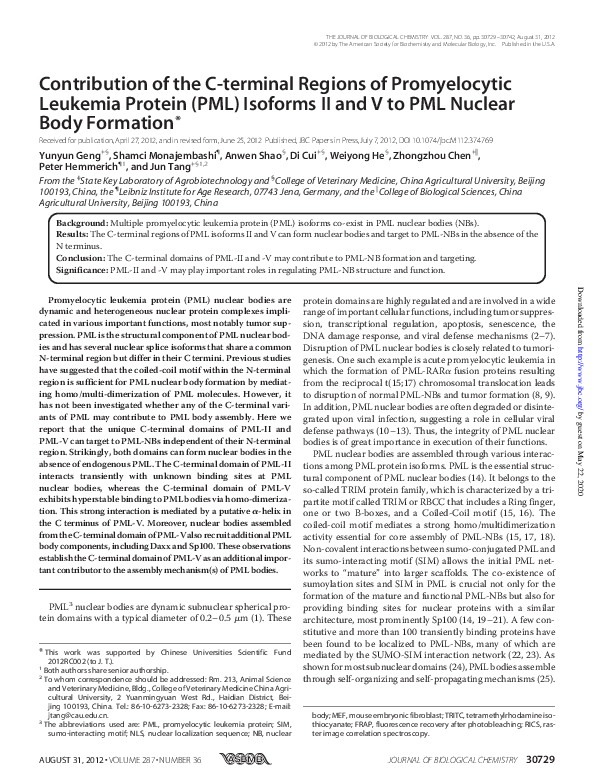 (PDF) Contribution of the C-terminal Regions of Promyelocytic Leukemia ...