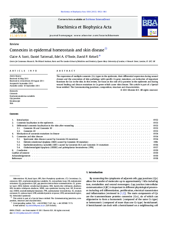 (PDF) Connexins in epidermal homeostasis and skin disease