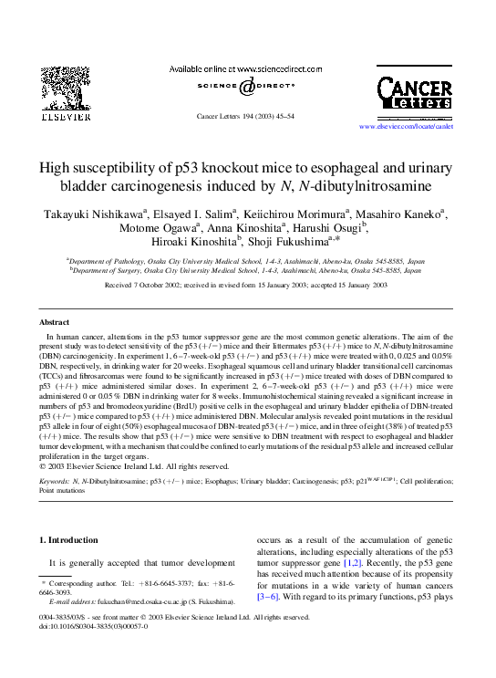 (PDF) High susceptibility of p53 knockout mice to esophageal and ...