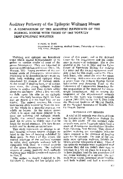 (PDF) Auditory pathway of the epileptic waltzing mouse. I. A comparison ...
