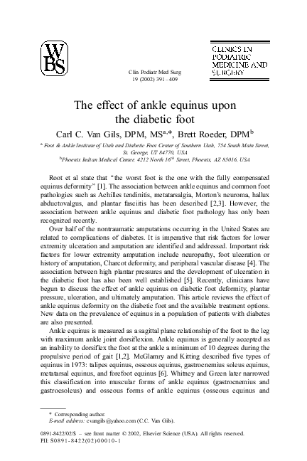 (PDF) The effect of ankle equinus upon the diabetic foot