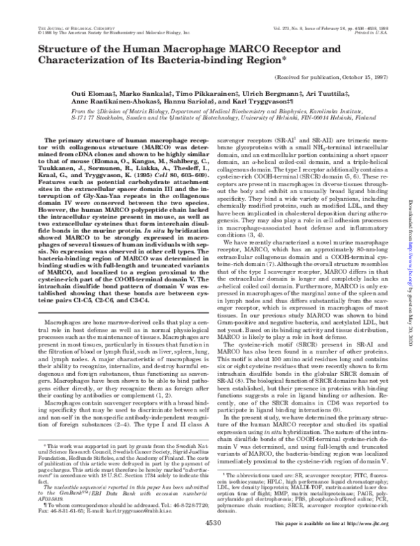 (PDF) Structure of the human macrophage MARCO receptor and ...