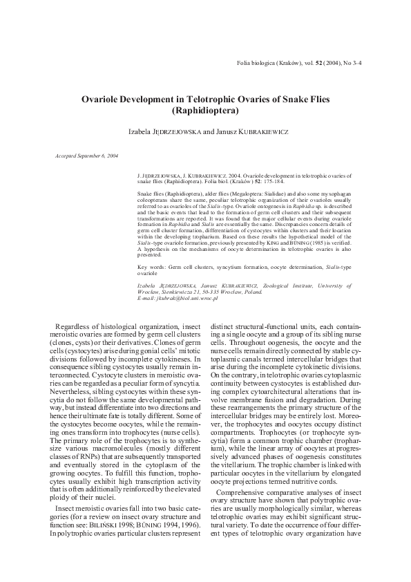 (PDF) Ovariole development in telotrophic ovaries of snake flies ...