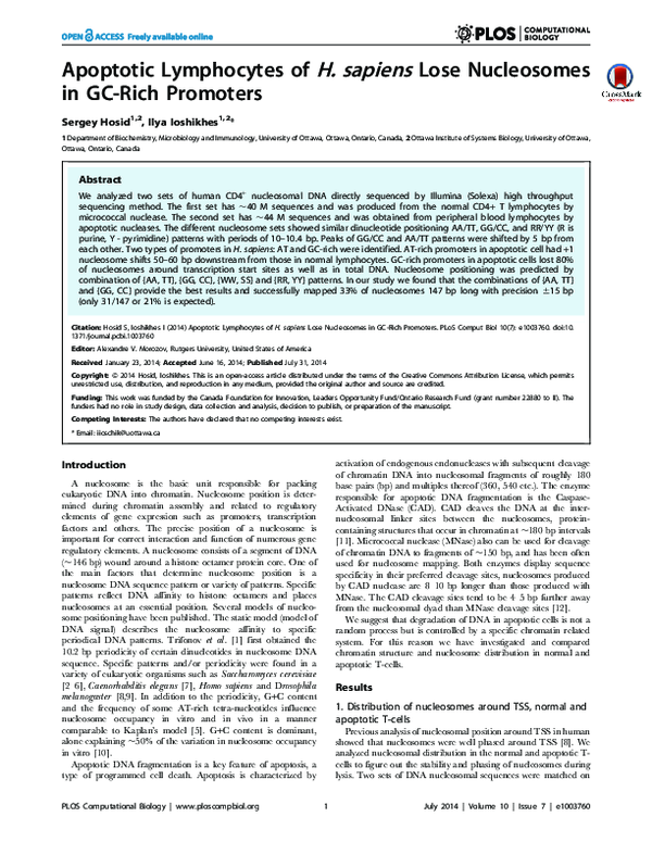 (PDF) Apoptotic Lymphocytes of H. sapiens Lose Nucleosomes in GC-Rich ...