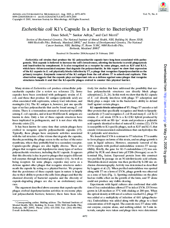 (PDF) Escherichia coli K1's Capsule Is a Barrier to Bacteriophage T7