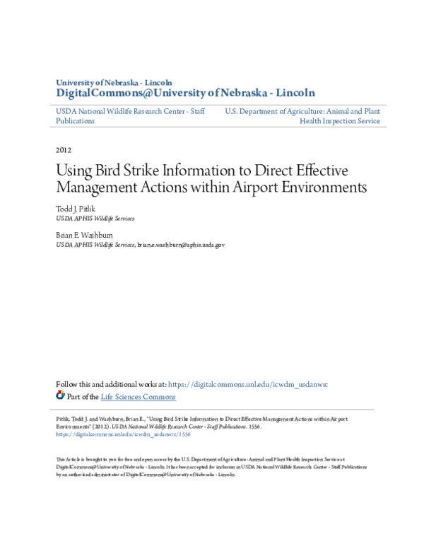 (PDF) Using Bird Strike Information to Direct Effective Management ...
