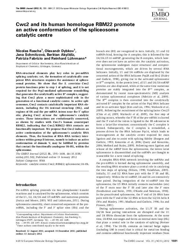 (PDF) Cwc2 and its human homologue RBM22 promote an active conformation ...