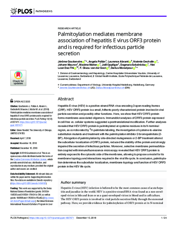 (PDF) Palmitoylation of HEV ORF3 Protein is Key for Membrane Association
