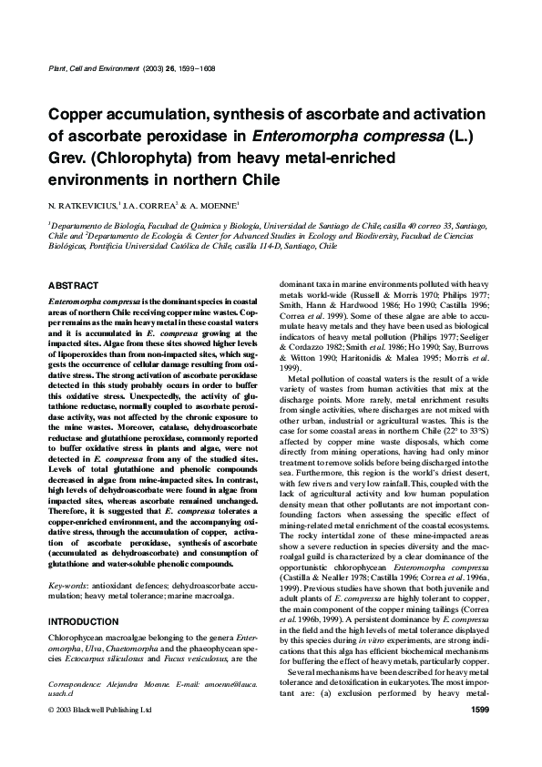 (PDF) Copper accumulation, synthesis of ascorbate and activation of ...