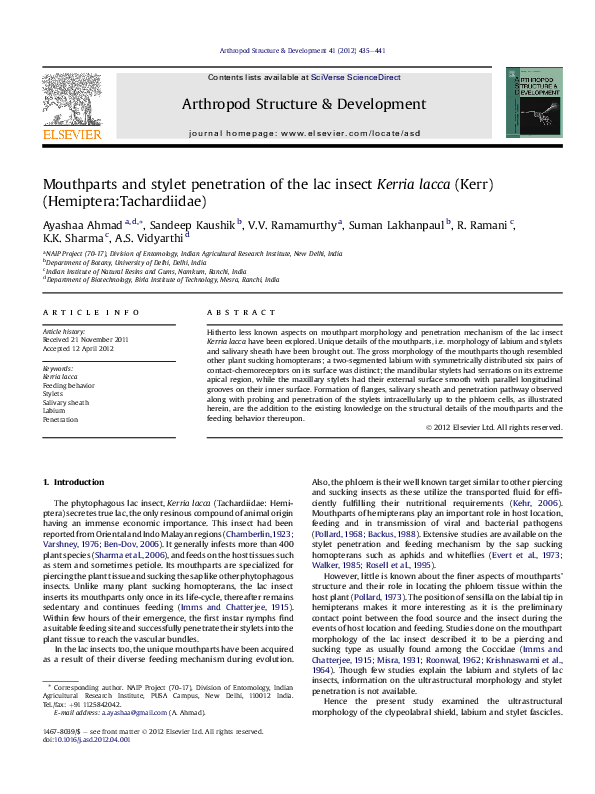(PDF) Mouthparts and stylet penetration of the lac insect Kerria lacca ...