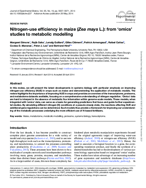 (PDF) Nitrogen-use efficiency in maize (Zea mays L.): from 'omics' studies to metabolic modelling