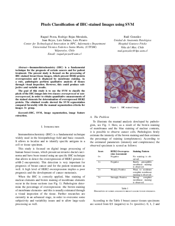 (PDF) Pixels Classification of IHC-stained Images using SVM