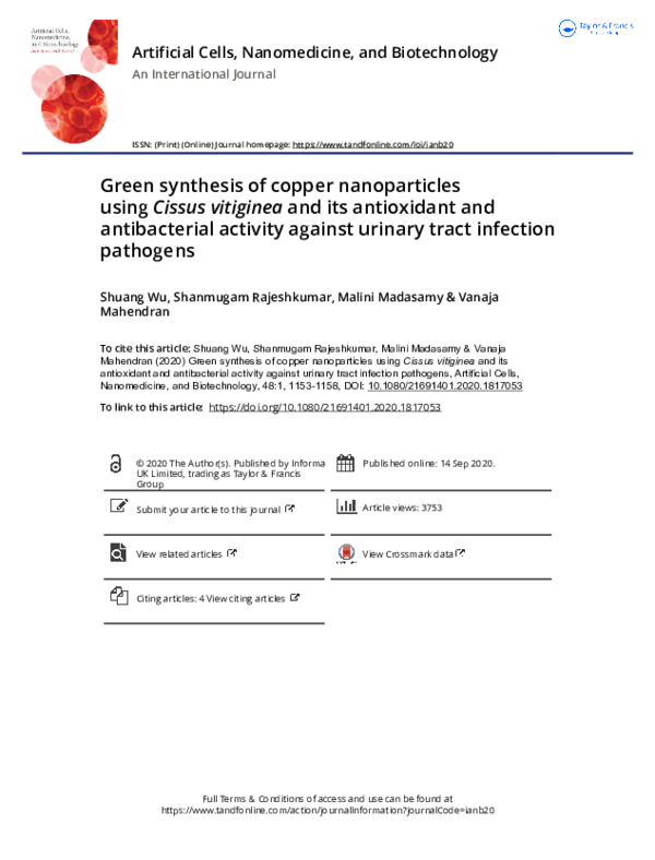 (PDF) Green synthesis of copper nanoparticles using Cissus vitiginea and its antioxidant and ...