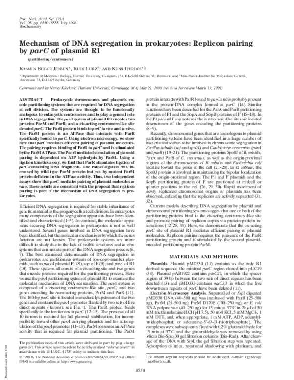 (PDF) Mechanism of DNA segregation in prokaryotes: Replicon pairing by ...