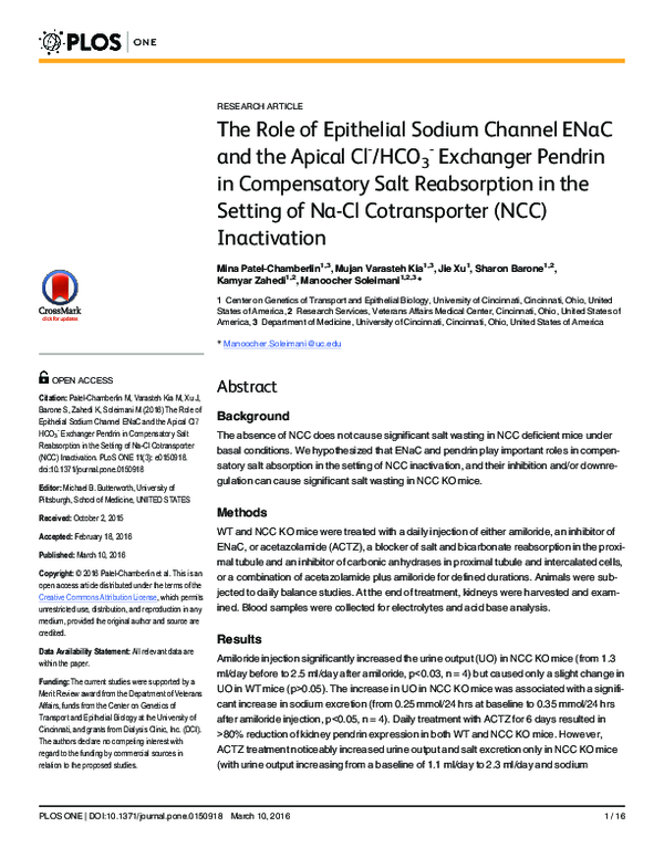 (PDF) The Role of Epithelial Sodium Channel ENaC and the Apical Cl ...