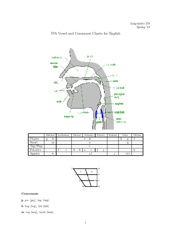 (PDF) IPA Vowel and Consonant Charts for English