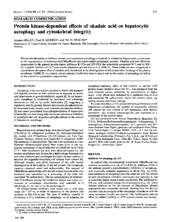 (PDF) Holen, I., Gordon, P. B. & Seglen, P. O. Protein kinase-dependent ...