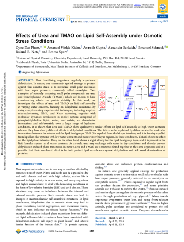 (PDF) Effects of Urea and TMAO on Lipid Self-Assembly under Osmotic ...