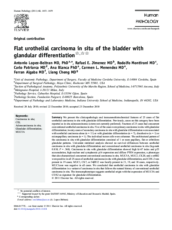 (PDF) Flat urothelial carcinoma in situ of the bladder with glandular ...
