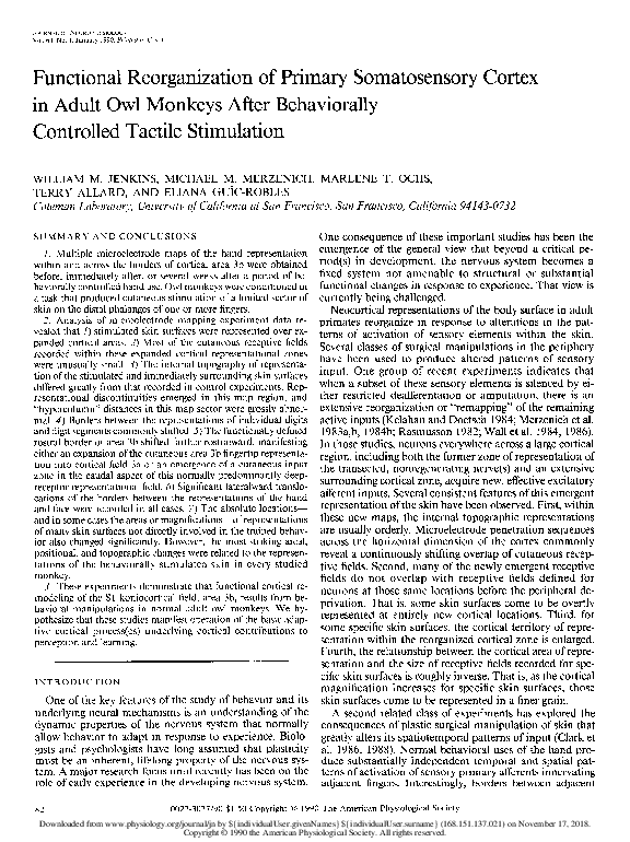 (PDF) Functional reorganization of primary somatosensory cortex in ...