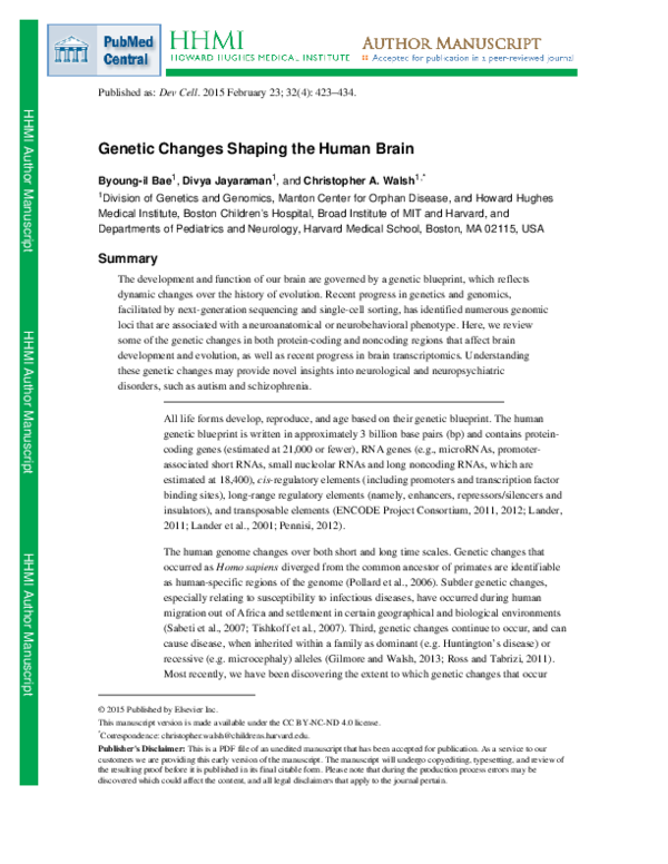 (PDF) Genetic Changes Shaping the Human Brain