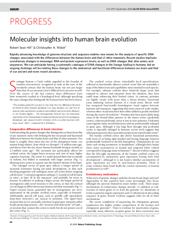 (PDF) Molecular insights into human brain evolution