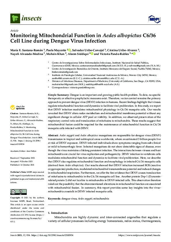(PDF) Monitoring Mitochondrial Function in Aedes albopictus C6/36 Cell ...