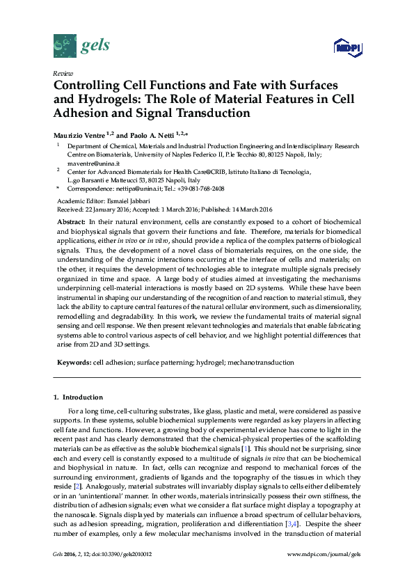 (PDF) Controlling Cell Functions and Fate with Surfaces and Hydrogels ...