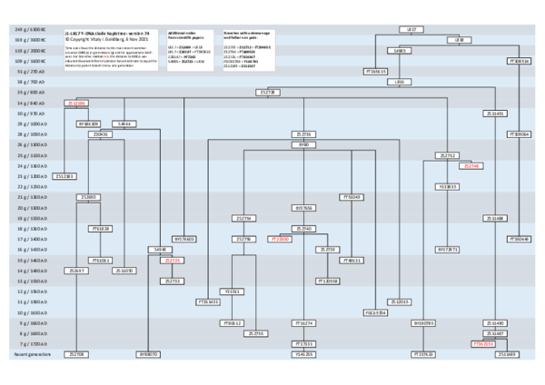 (PDF) J1-L817 Y-DNA clade haplotree