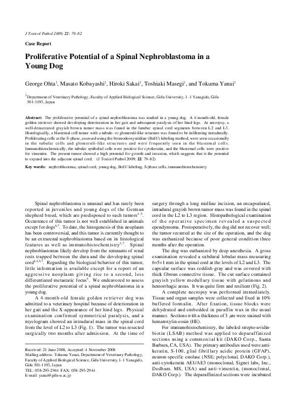 (PDF) Proliferative Potential of a Spinal Nephroblastoma in a Young Dog