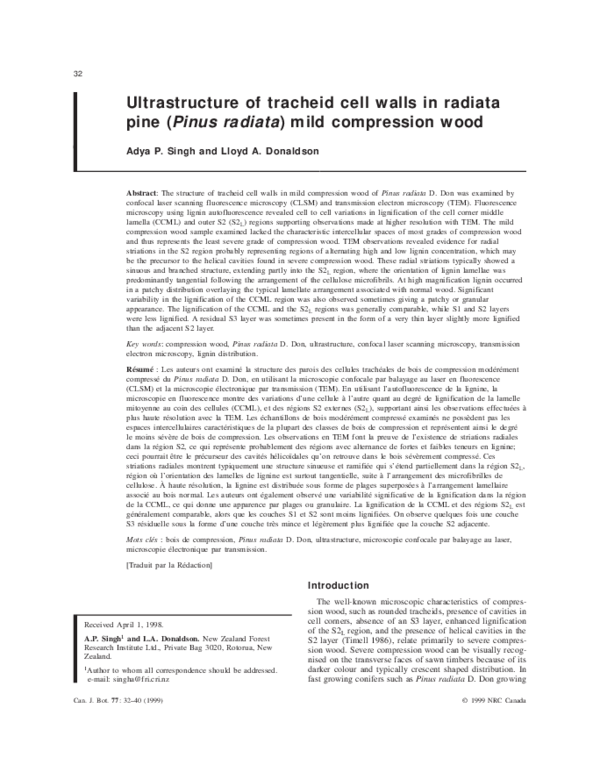 (PDF) Tracheid Cell Wall Structure in Pinus Radiata