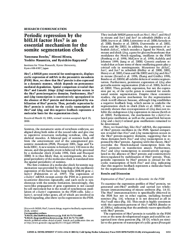 (PDF) Periodic repression by the bHLH factor Hes7 is an essential ...