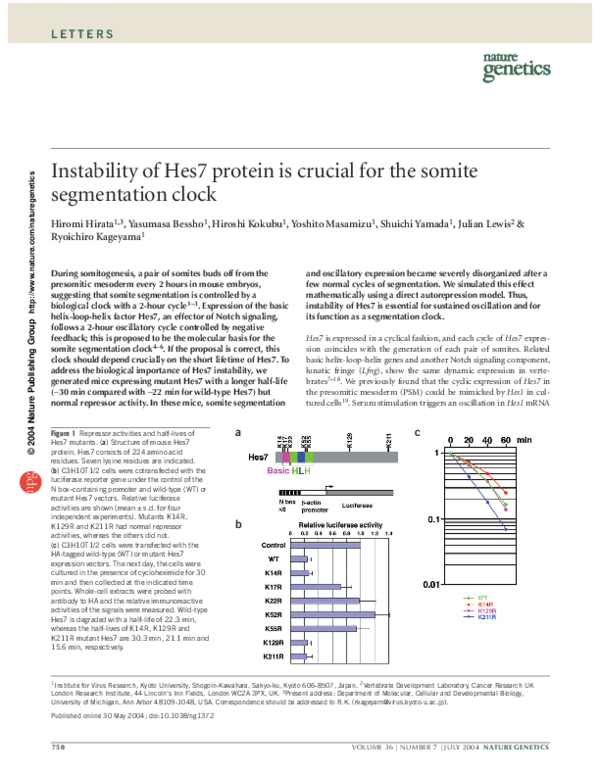 (PDF) Instability of Hes7 protein is crucial for the somite ...
