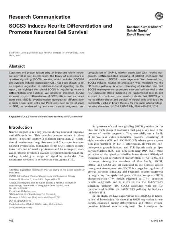 (PDF) SOCS3 induces neurite differentiation and promotes neuronal cell ...