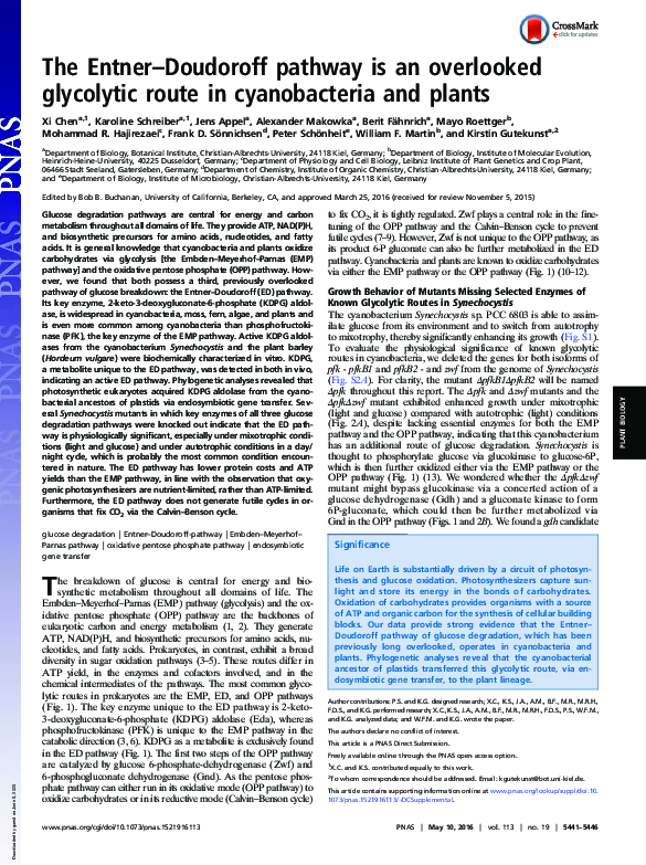 (PDF) The Entner–Doudoroff pathway is an overlooked glycolytic route in ...