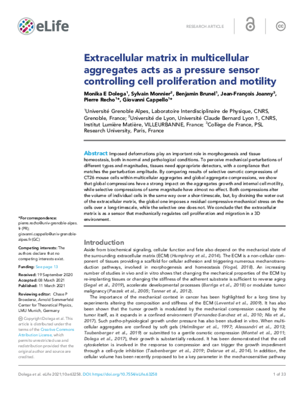 (PDF) Extracellular matrix in multicellular aggregates acts as a ...
