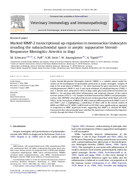 (PDF) Marked MMP-2 transcriptional up-regulation in mononuclear ...