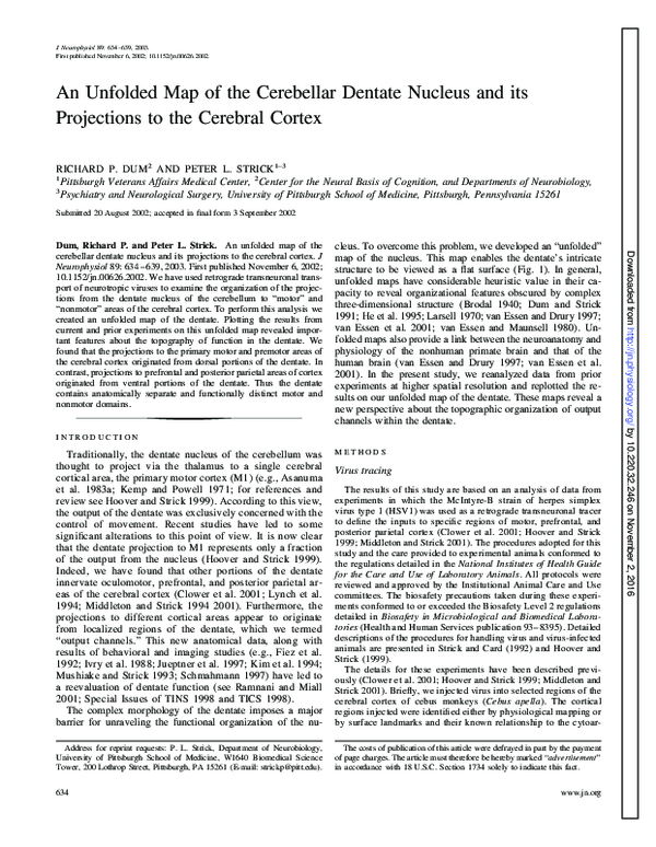 (PDF) An unfolded map of the cerebellar dentate nucleus and its ...