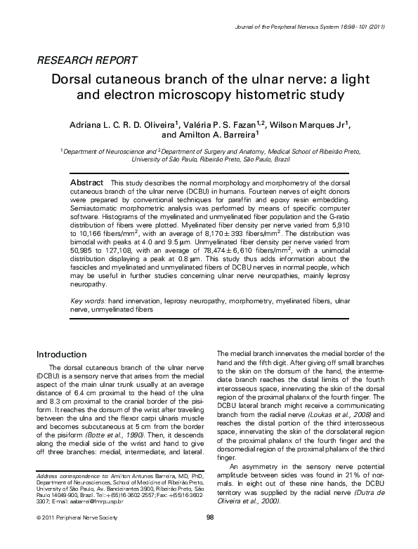 (PDF) Dorsal cutaneous branch of the ulnar nerve: a light and electron ...