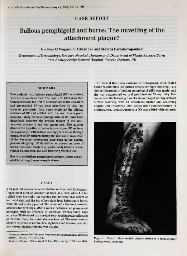 (PDF) Bullous pemphigoid and burns: The unveiling of the attachment plaque?