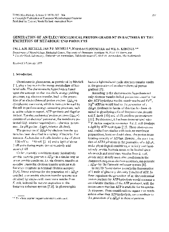 (PDF) Generation of an electrochemical proton gradient in bacteria by ...
