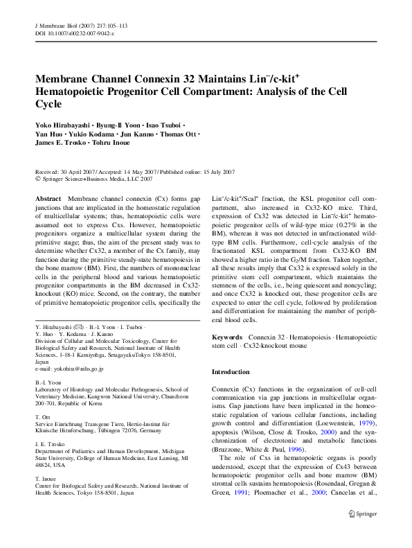 (PDF) Membrane Channel Connexin 32 Maintains Lin−/c-kit+ Hematopoietic ...